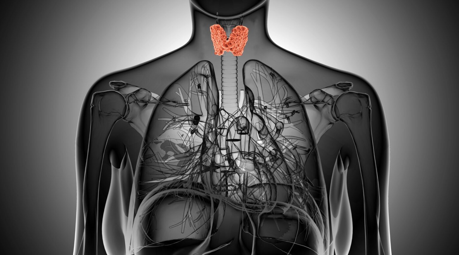 Le cancer du thymus : symptômes, diagnostic et traitements